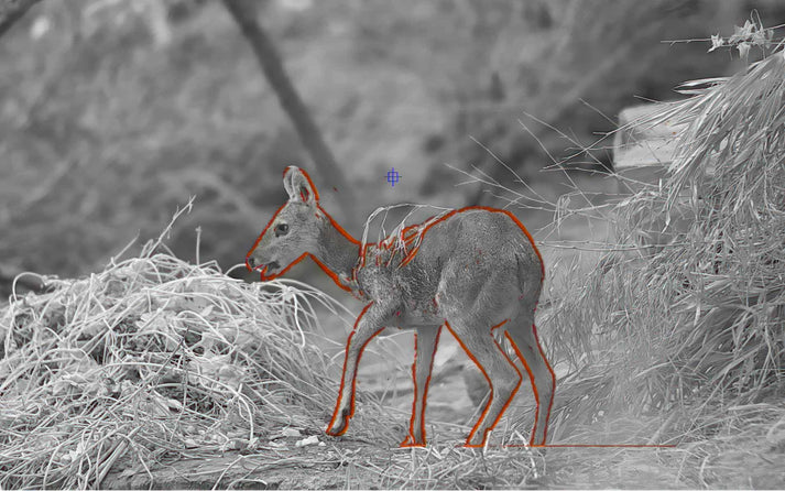 Night Fusion Thermal / Night Vision Dual-waveband Fusion Rifle Scope F